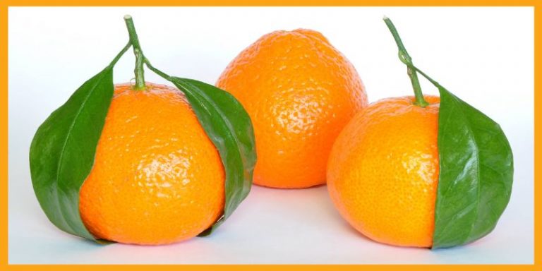 Best Oranges For Juicing - 9 Sweetest Ones!